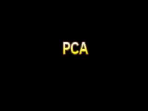 What Is The Definition Of PCA Medical School Terminology Dictionary