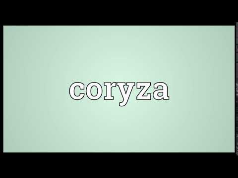 Coryza Meaning | Wordogram