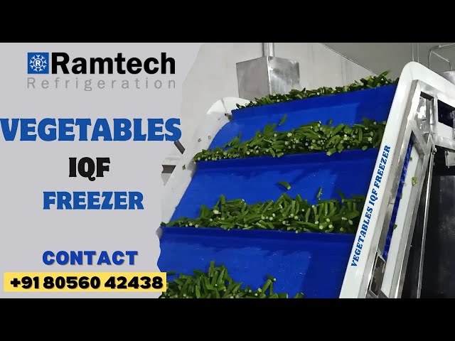 IQF Freezer - Fruits Vegetable IQF Machines Manufacturer from Chennai