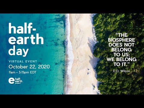 2020 – Paul Simon at Half Earth Day – Paul Simon – 'Time it was…it was'