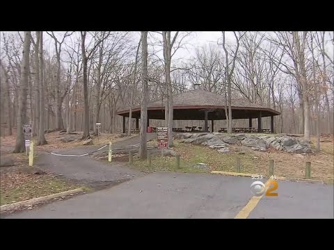 Safety Concerns In Westchester County Parks