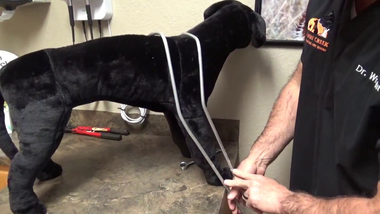 23  how to make a spica splint
