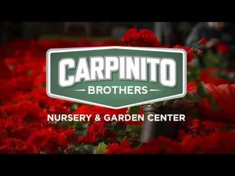 2015 Carpinito Nursery & Garden Center