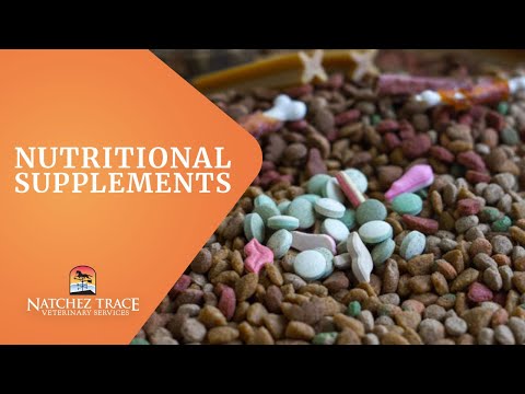 Learn All About Nutritional Supplements for Pets at PET | TAO  - Marc Smith, DVM