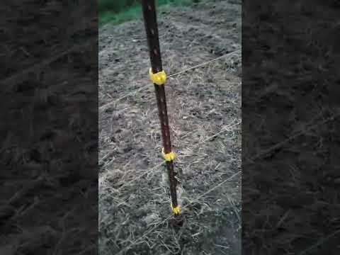 Electric fence wire test