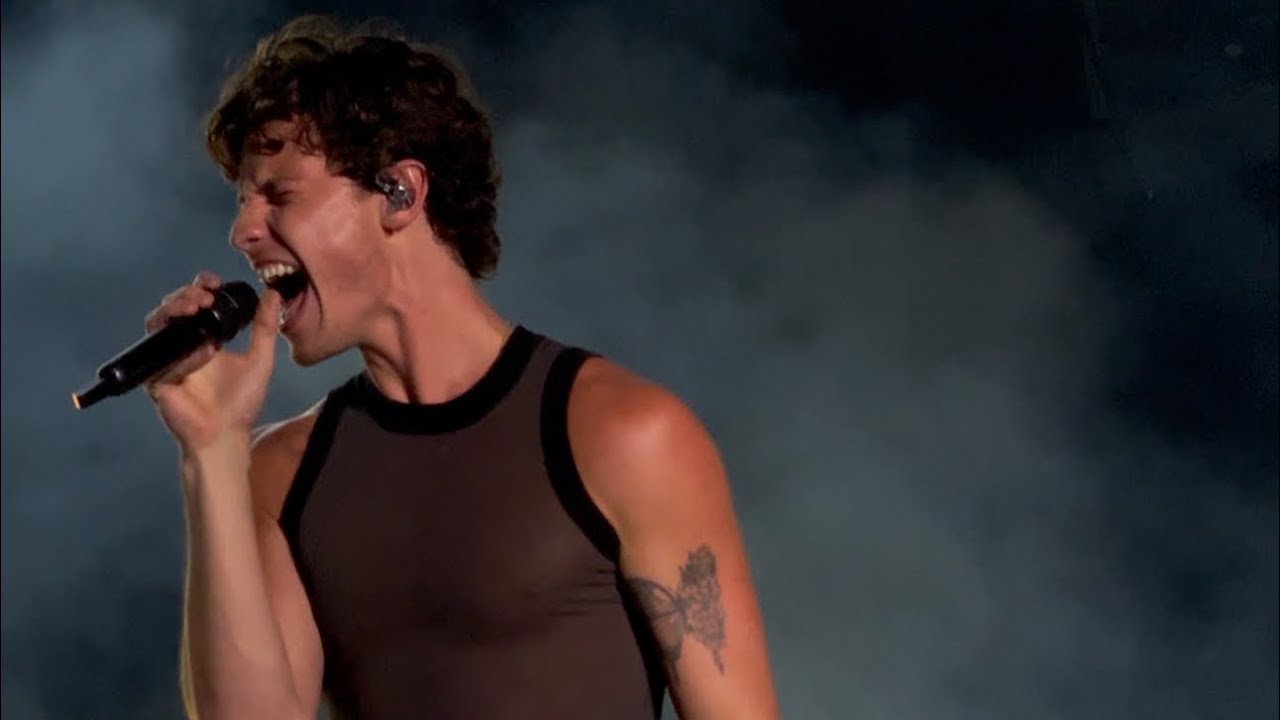 Shawn Mendes - Sunny Hill Festival 2025: Full Performance [4K]
