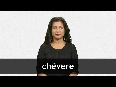 English Translation of “CHÉVERE” | Collins Spanish-English Dictionary