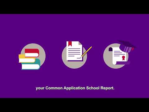 The Common Application for NYU, Explained 2024