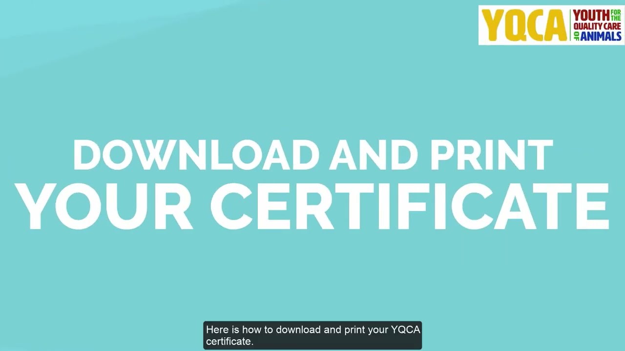 YQCA Help Video: Finding Your Certificate