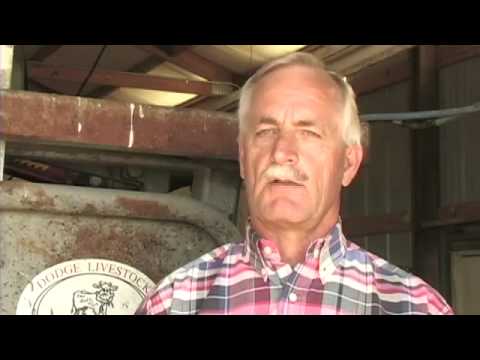 The Legacy of Cattle in Colorado: Kent Bamford and Steve Gabel