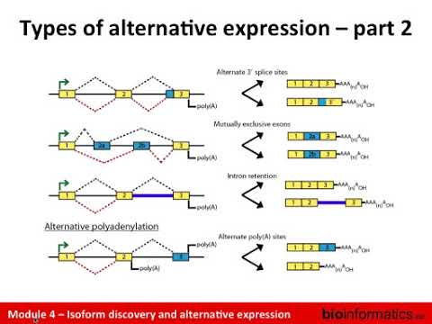 Isoform Discovery and Alternative Expression