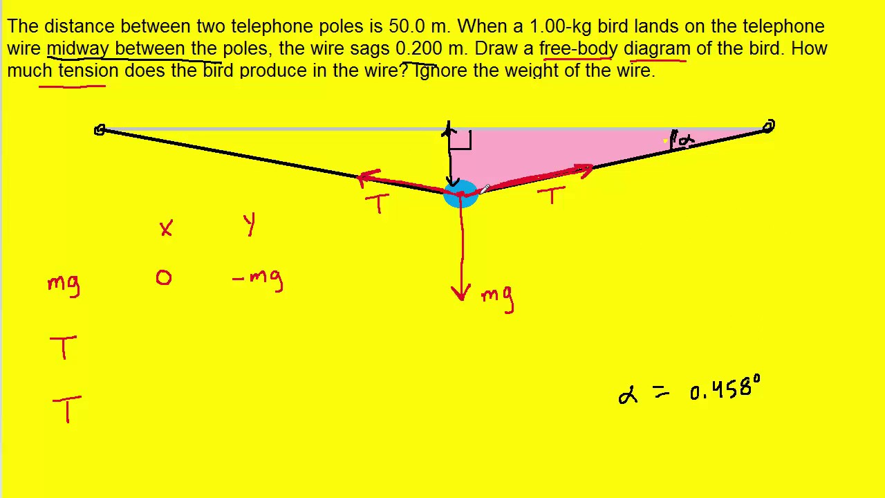 The distance between two telephone poles
