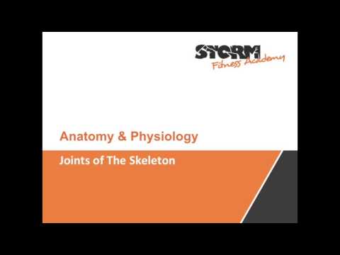 The Joints of the Skeleton