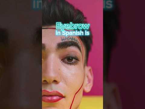 EYEBROW IN SPANISH | Medical Consecutive Interpreting