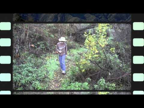 Towsley Canyon, Santa Clarita Woodlands Park, CA