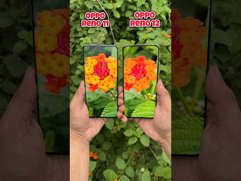 Oppo Reno 11 vs Oppo Reno 12 Camera Test