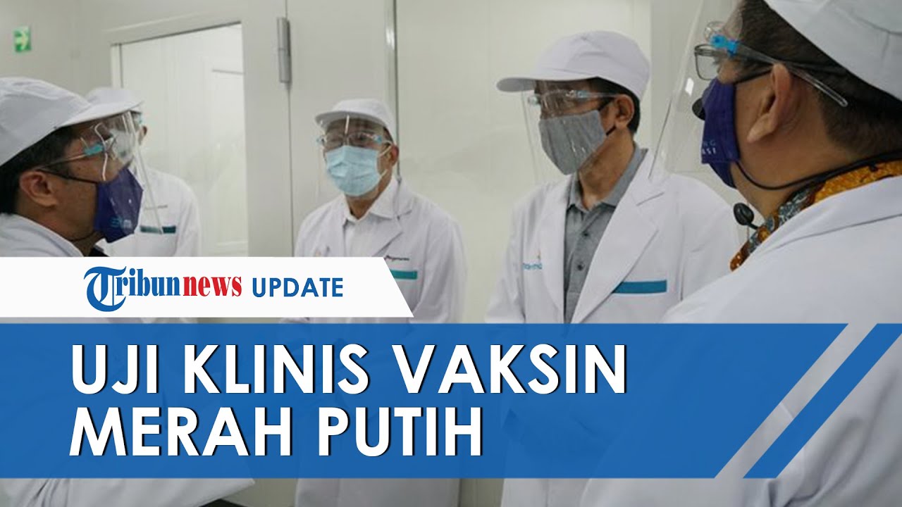 Erick Thohir Soal Vaksin Merah Putih Uji Klinis I III Tahun Depan, Mulai Diproduksi Tahun 2022
