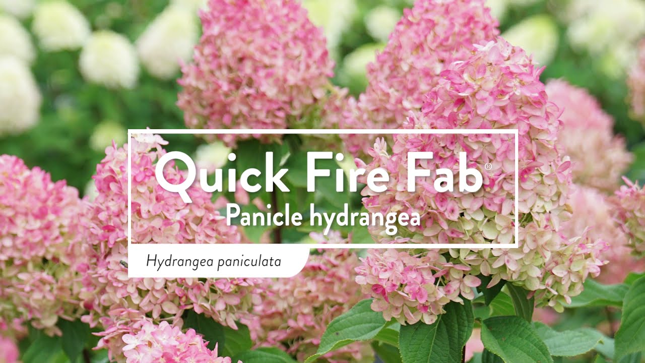 30 Seconds with Quick Fire Fab®