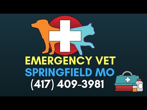 24 Hour Animal Hospital Springfield MO | Emergency Vet Care Springfield MO | (417) 409 3981