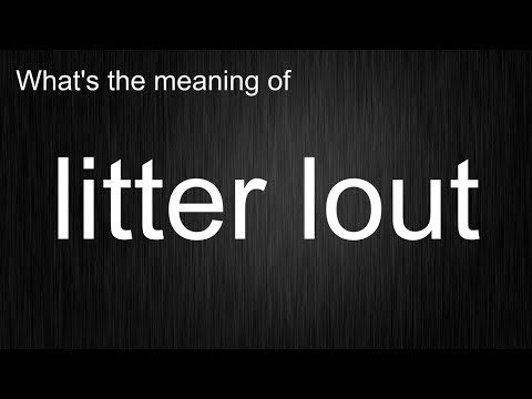 Pronounce litter lout This Way, Learn Meaning Techniques!