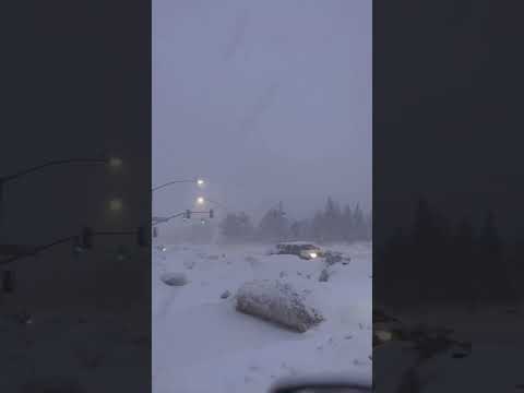 Valentine’s Day Winter Storm - Flagstaff, AZ (2/14/23) #winterstorm #icestorm #snowstorm #blizzard