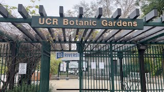 3 Best Places To See in Riverside, CA - Expert Recommendations