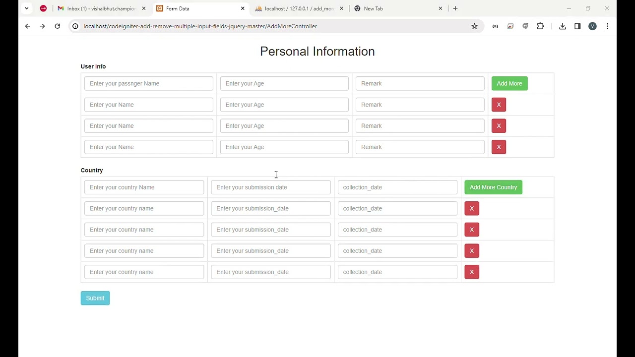 Add More Fields Dynamically in CodeIgniter | jQuery + PHP Tutorial