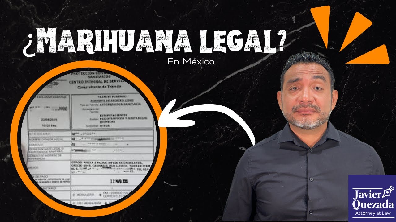 ¿Es legal la marihuana en México? La verdad sobre permisos, burocracia y lo que sí puedes hacer