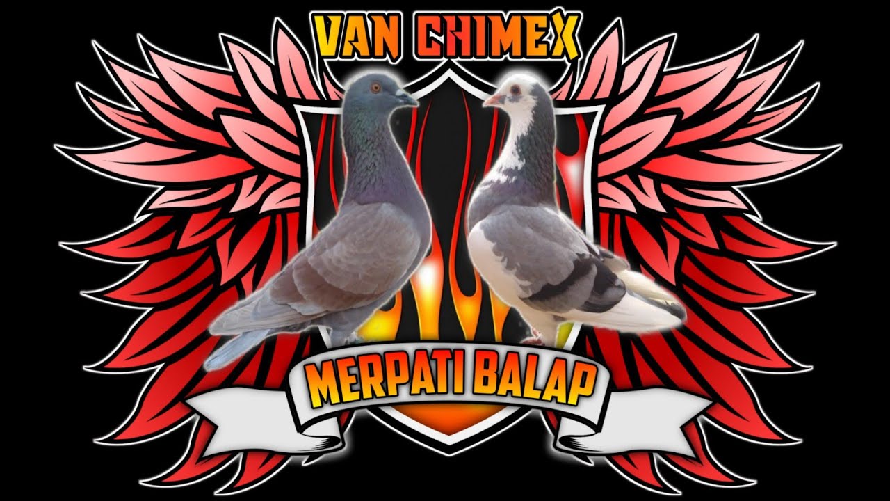 Cara Membuat Logo Burung Merpati di Android #tutorialpixellab #tutorialpicsart