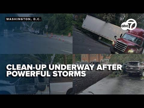 Clean-up underway after storms slam DC area, bringing down trees and damaging homes