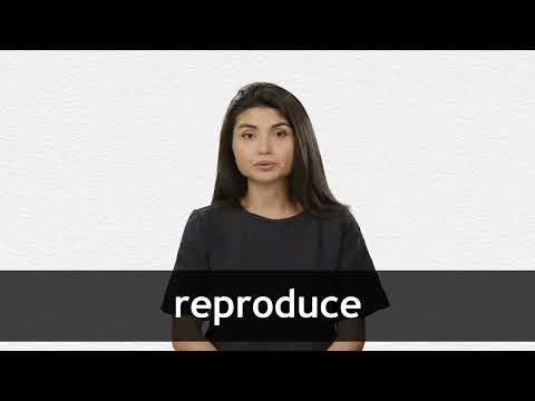 REPRODUCE definition and meaning | Collins English Dictionary
