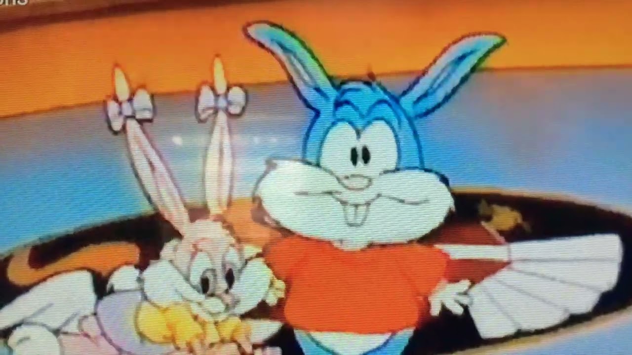 Télétoon-Tiny Toons Promo (2002)