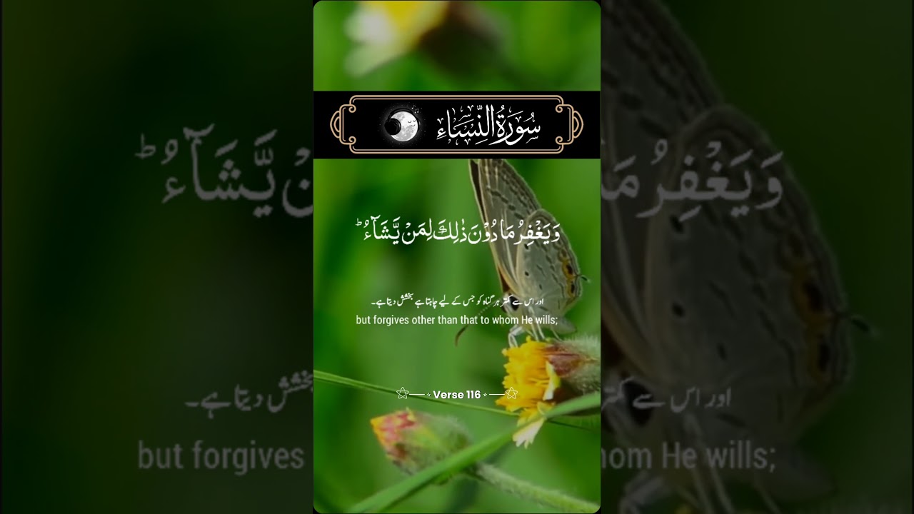 Surah e An Naba Beautiful Quran Recitation