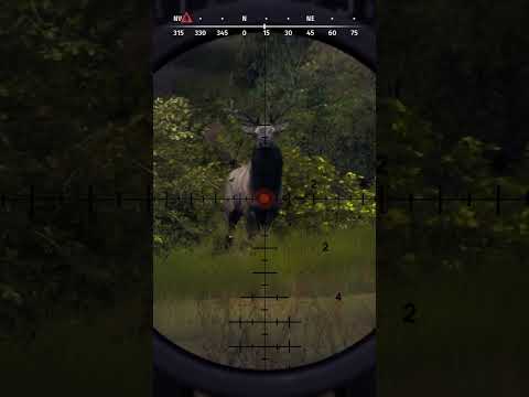 🎯 Drop Shots Only! | Way of the Hunter 🔫🌲 #gaming #gameplay #hunting #wayofthehunter #games
