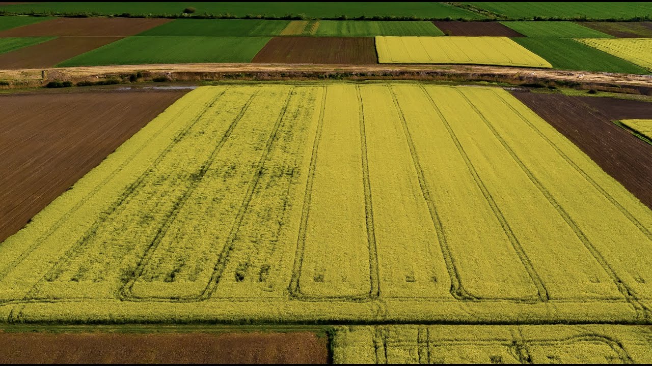Vojvodina / Serbia from above