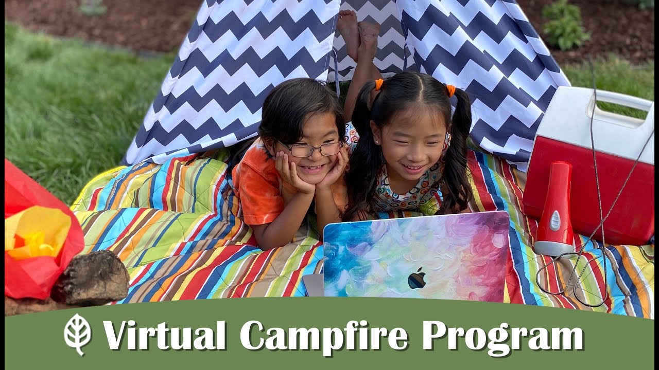 Virtual Campfire Program: Nature Detectives – The Search for Animal Signs