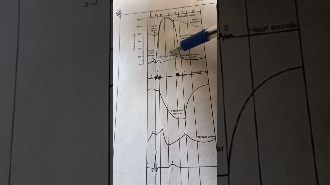Cardiac cycle /high yield for FCPS /more than 40 mcqs of fcps