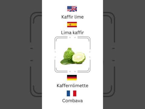 #kaffir lime #lima kaffir #kaffernlimette #combava#fruit #learnspanish #learnenglish #newdayspanish
