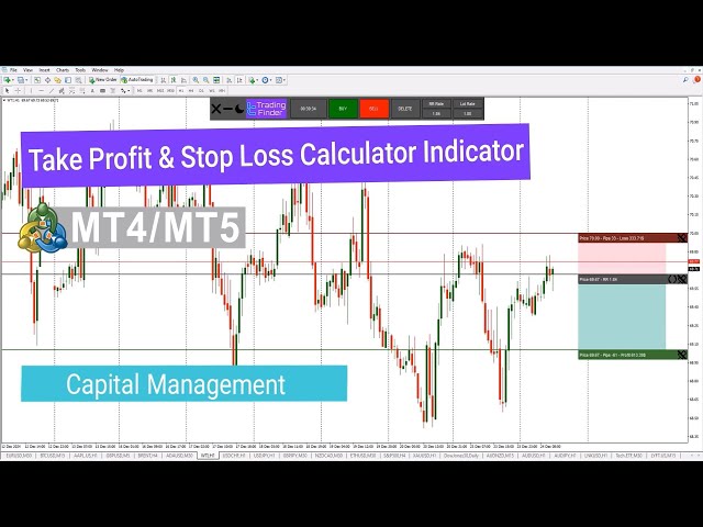 Comprehensive Guide to the Profit and Loss Limit Indicator for MT4/5 ...