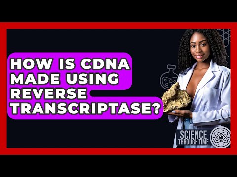 How Is CDNA Made Using Reverse Transcriptase? - Science Through Time