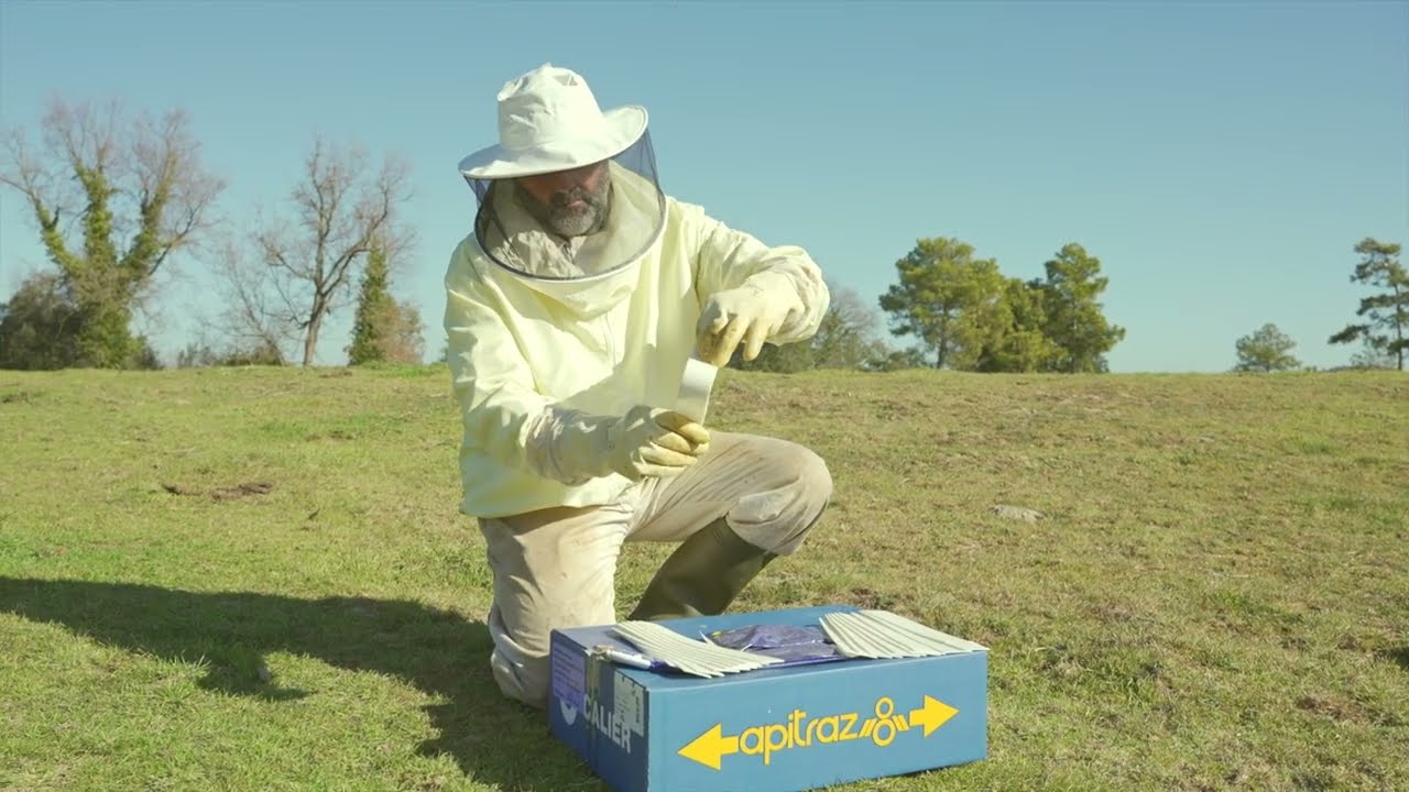 Meet Apitraz: Calier's solution against varroa