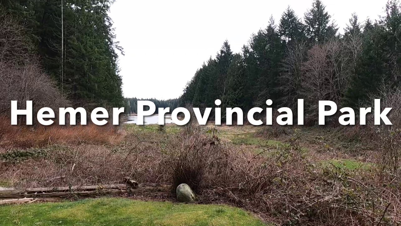Hemer Provincial Park - Cedar BC