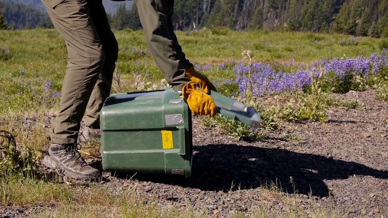 Ranger Micah and the Marmot