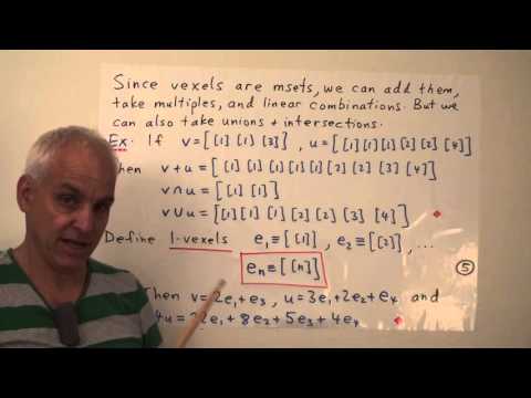 Singletons, vexels, and the rank of a maxel I Data structures in Mathematics Math Foundations 171
