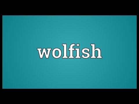 Wolfish Meaning