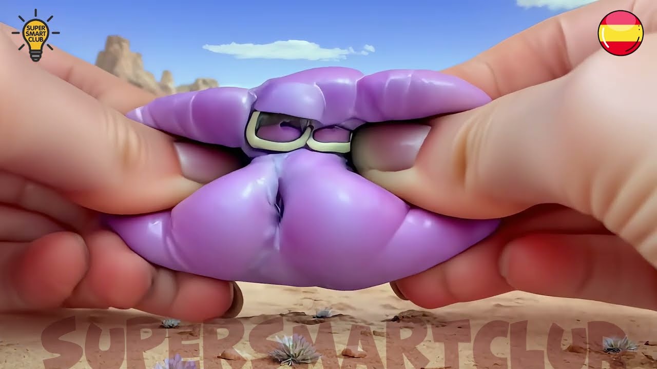 Ultimate Realistic Big & Small Squashed Spanish Alphabet Lore Collection