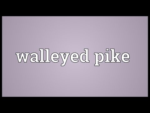 Walleyed pike Meaning
