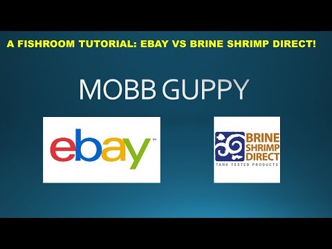 EBAY VS BRINE SHRIMP DIRECT - A FISHROOM TUTORIAL