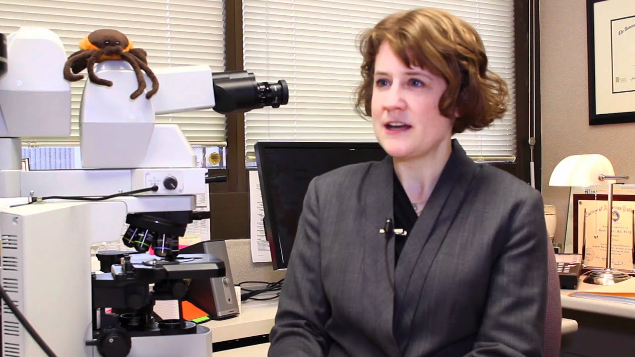 Tick-Borne Disease Testing at Mayo Medical Laboratories