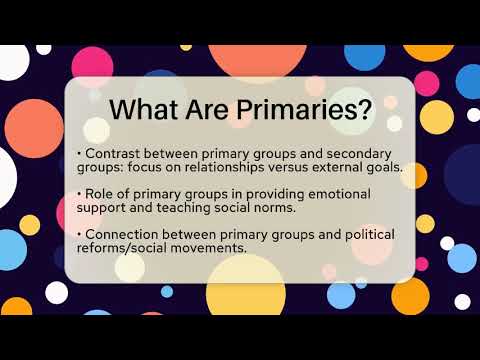 What Are Primaries? - The Sociology Workshop